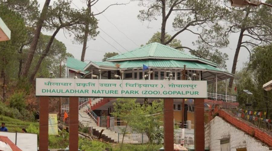 Dhauladhar Wildlife Sanctuary, Himachal Pradesh – Gopalpur Zoo Kangra