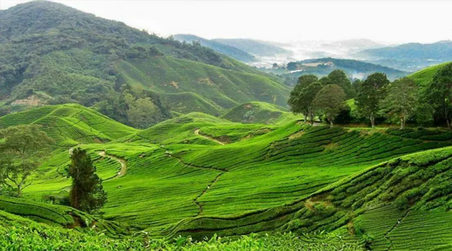 Trekking in Manipur