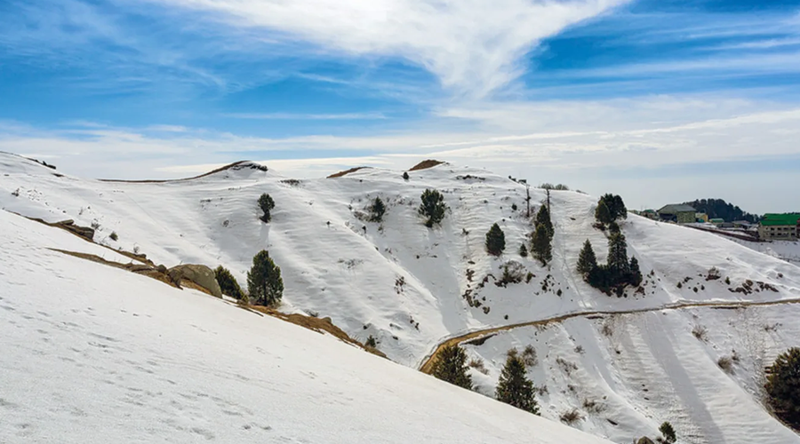 Dainkund Trek Dalhousie – Singing Hill Best Trek in Himachal | Explore ...