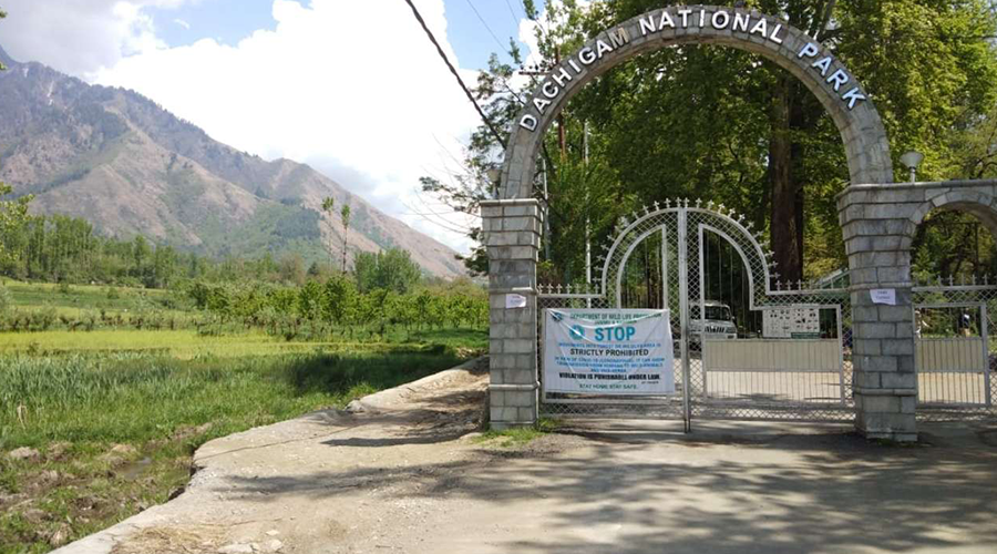 Dachigam National Park in Kashmir | Hangul Deer & Wildlife Guide