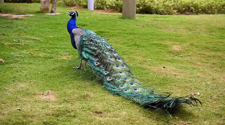 KBR National Park