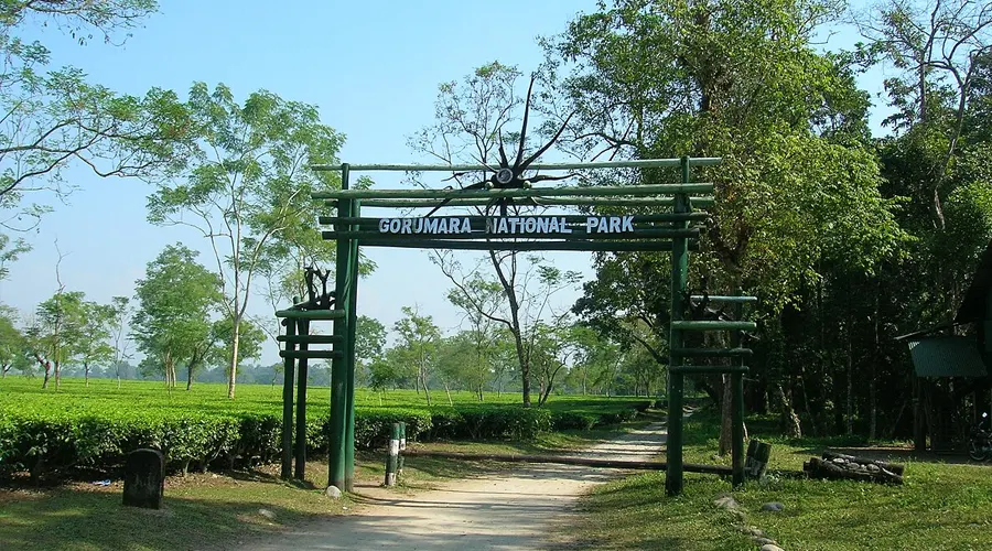 Gorumara National Park