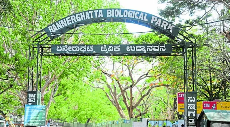 Bannerghatta National Park