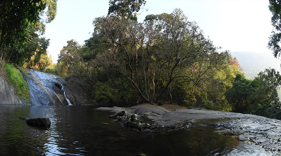 Dhoni Waterfalls - This waterfall is a gem for tourists looking to ...