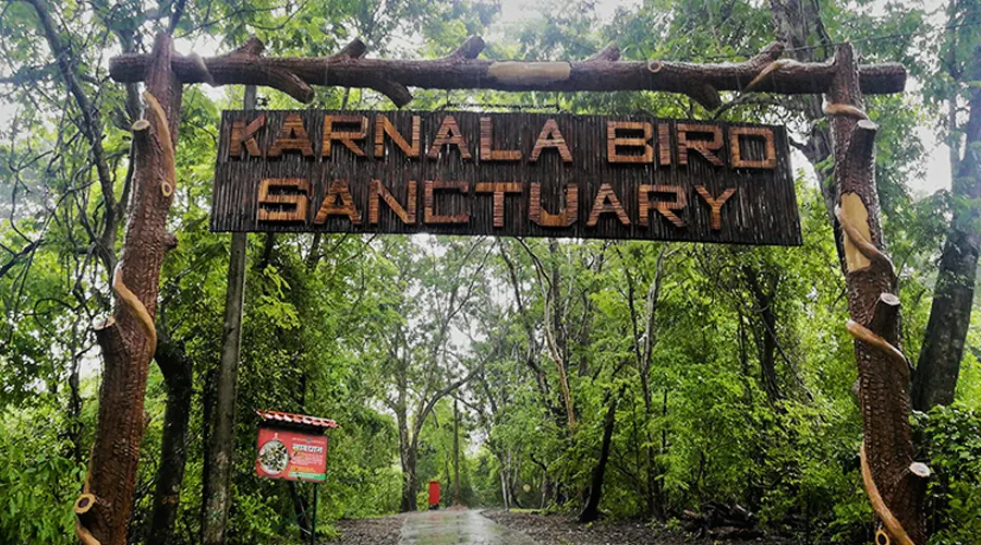 Camping in Karnala Bird Sanctuary, Maharashtra