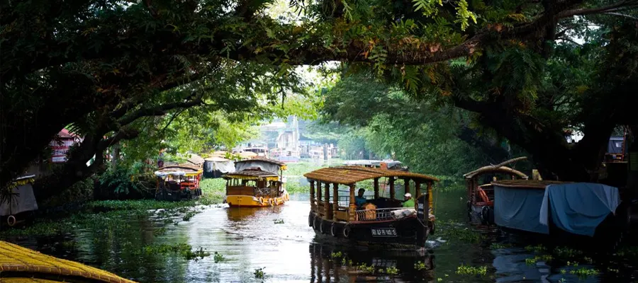 Munnar Kerala Tourism: The Kashmir of South India – Explore Kerala